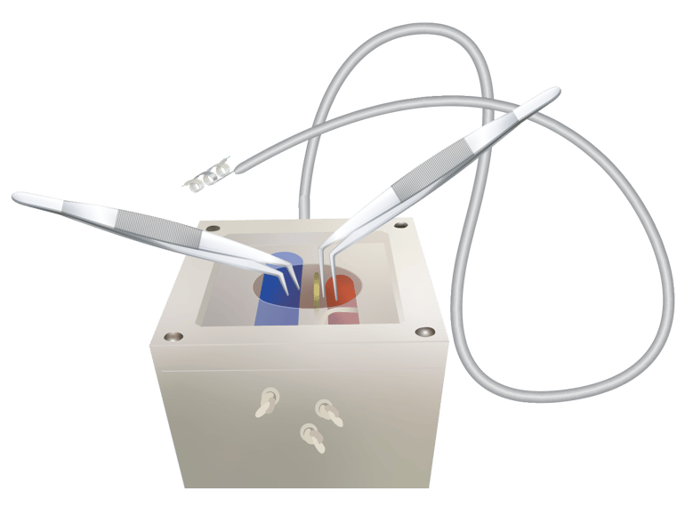 VNS Therapy Surgical Training